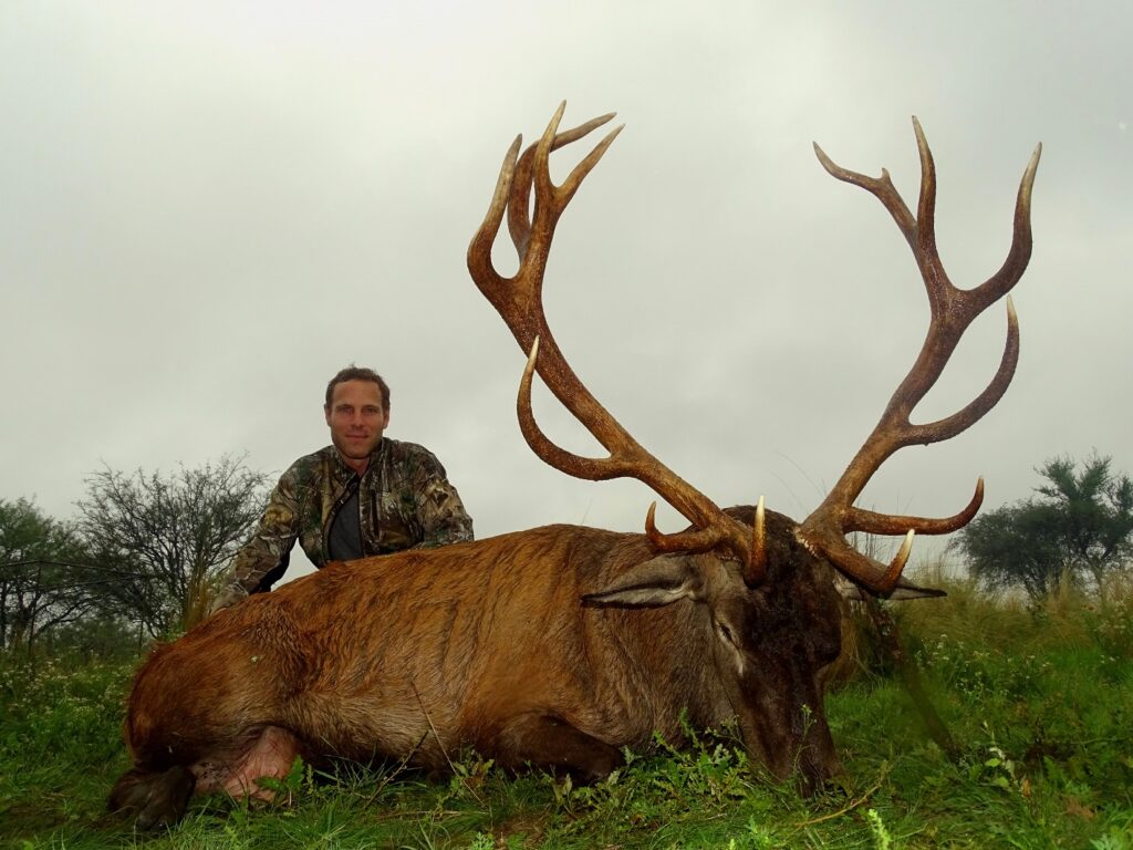 Free Range Red Stag Hunting Gallery – TGB Outfitters